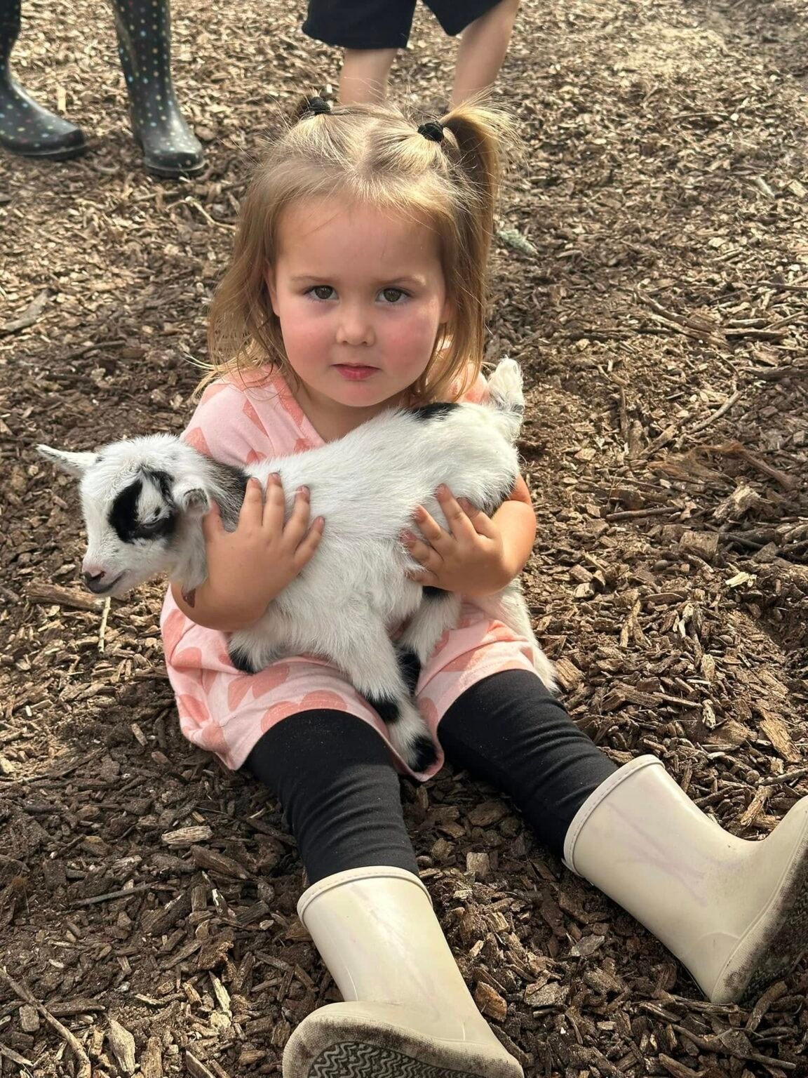 Farmer Friday’s – Lithia Springs Farm